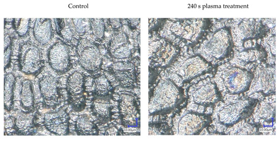 Influence of a Helium–Nitrogen RF Plasma Jet on Onion Seed Germination