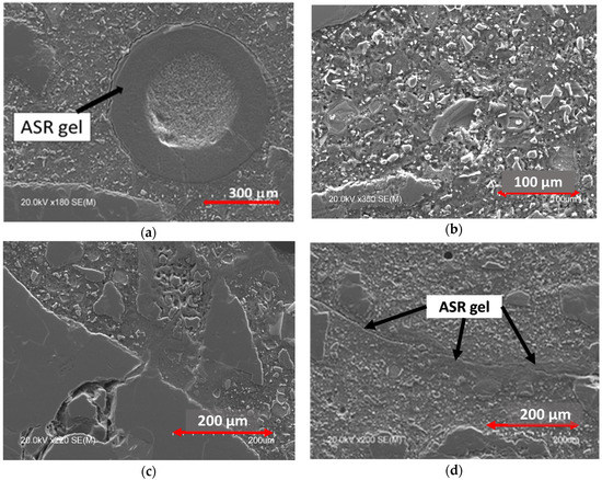 Sustainable and Durable Performance of Pozzolanic Additions to Prevent ...