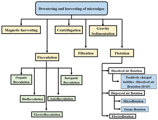 Applied Sciences | Free Full-Text | Microalgal Biomass Generation via ...