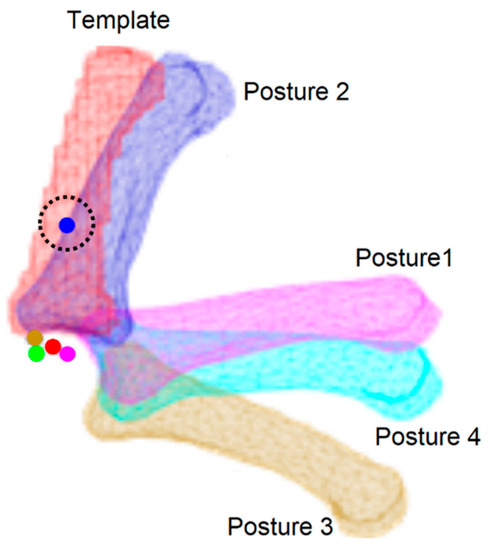 Applied Sciences | Free Full-Text | Estimation of Finite Finger Joint ...