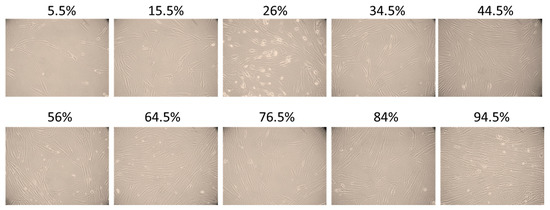 Systematic Quantification of Cell Confluence in Human Normal Oral ...