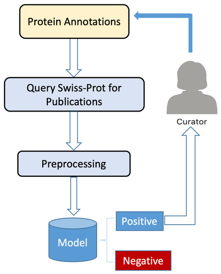 Applied Sciences | Free Full-Text | Automated Confirmation of Protein ...