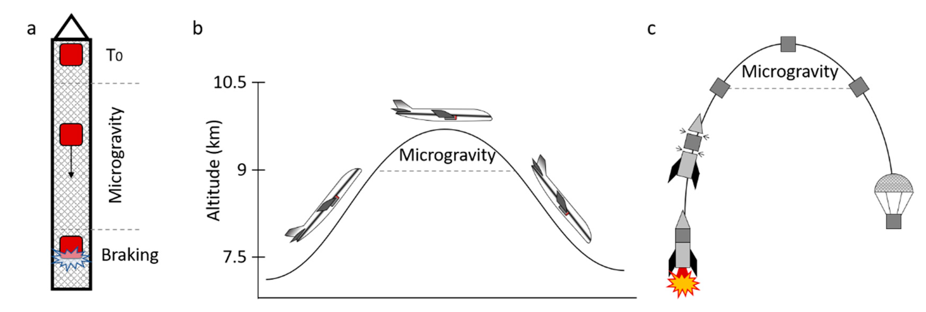Advantages and Limitations of Current Microgravity Platforms for Space ...