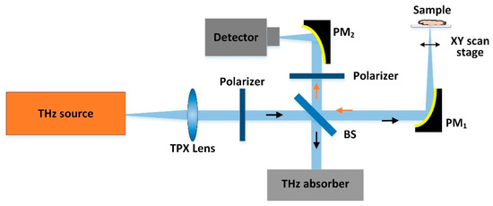 Continuous-Wave THz Imaging for Biomedical Samples