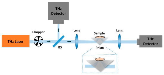 Continuous-Wave THz Imaging for Biomedical Samples