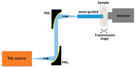Continuous-Wave THz Imaging for Biomedical Samples