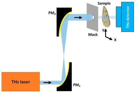 Continuous-Wave THz Imaging for Biomedical Samples
