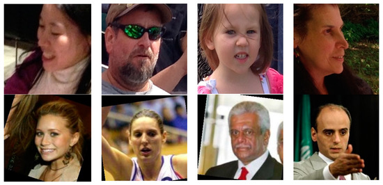 Face Gender Recognition in the Wild: An Extensive Performance ...