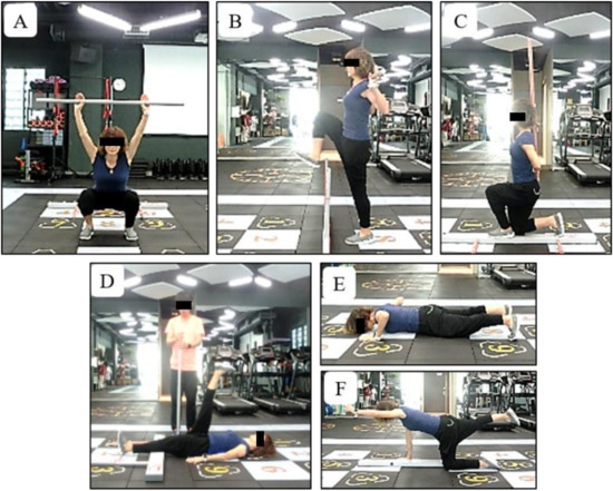 Development of an Automatic Functional Movement Screening System with ...