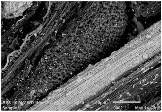 Improving Soil Nitrogen Availability and Rice Growth Performance on a ...