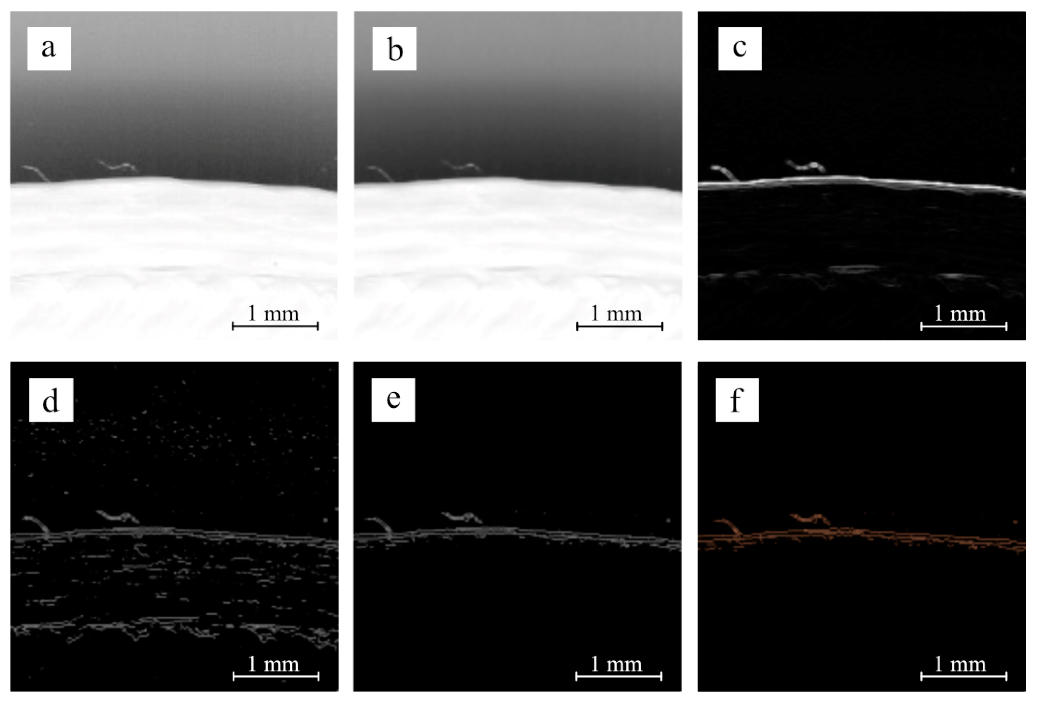 Applied Sciences | Free Full-Text | The Influence of Image Processing ...