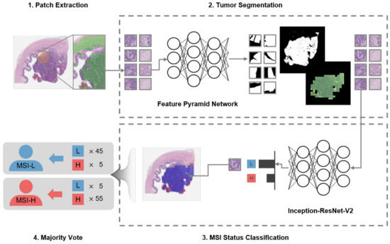 Two-Stage Classification Method for MSI Status Prediction Based on Deep ...