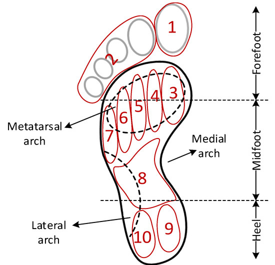 A Novel Wearable Foot and Ankle Monitoring System for the Assessment of ...