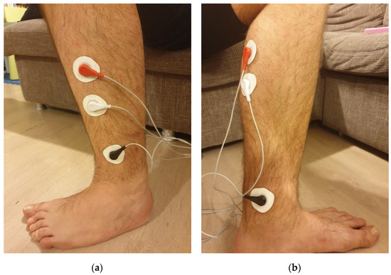 A Novel Wearable Foot and Ankle Monitoring System for the Assessment of ...