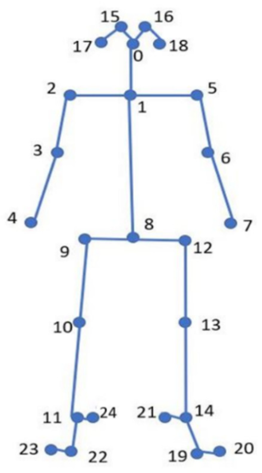A Framework for Fall Detection Based on OpenPose Skeleton and LSTM/GRU Models