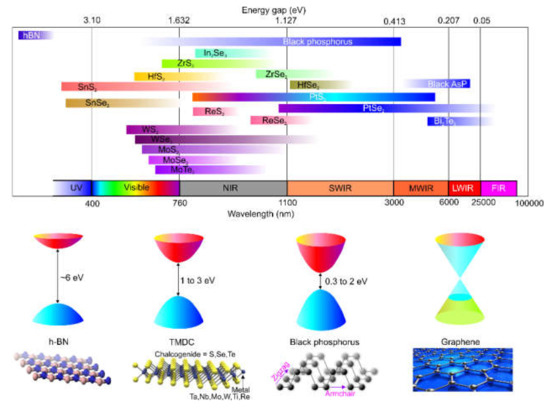 Trends in Performance Limits of the HOT Infrared Photodetectors