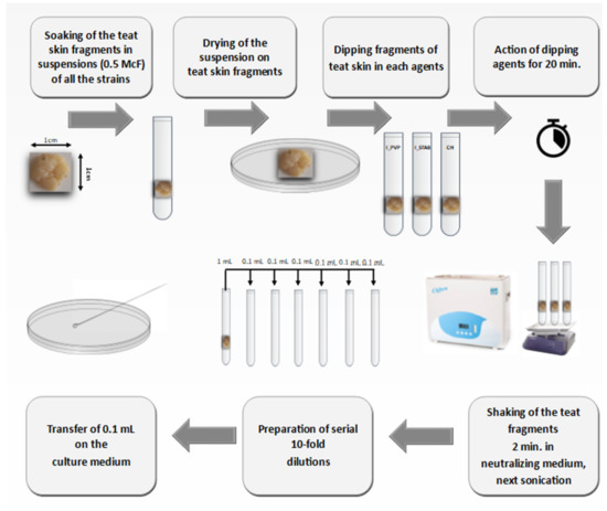 Characterization of Escherichia coli Strains Derived from Cow Milk of ...