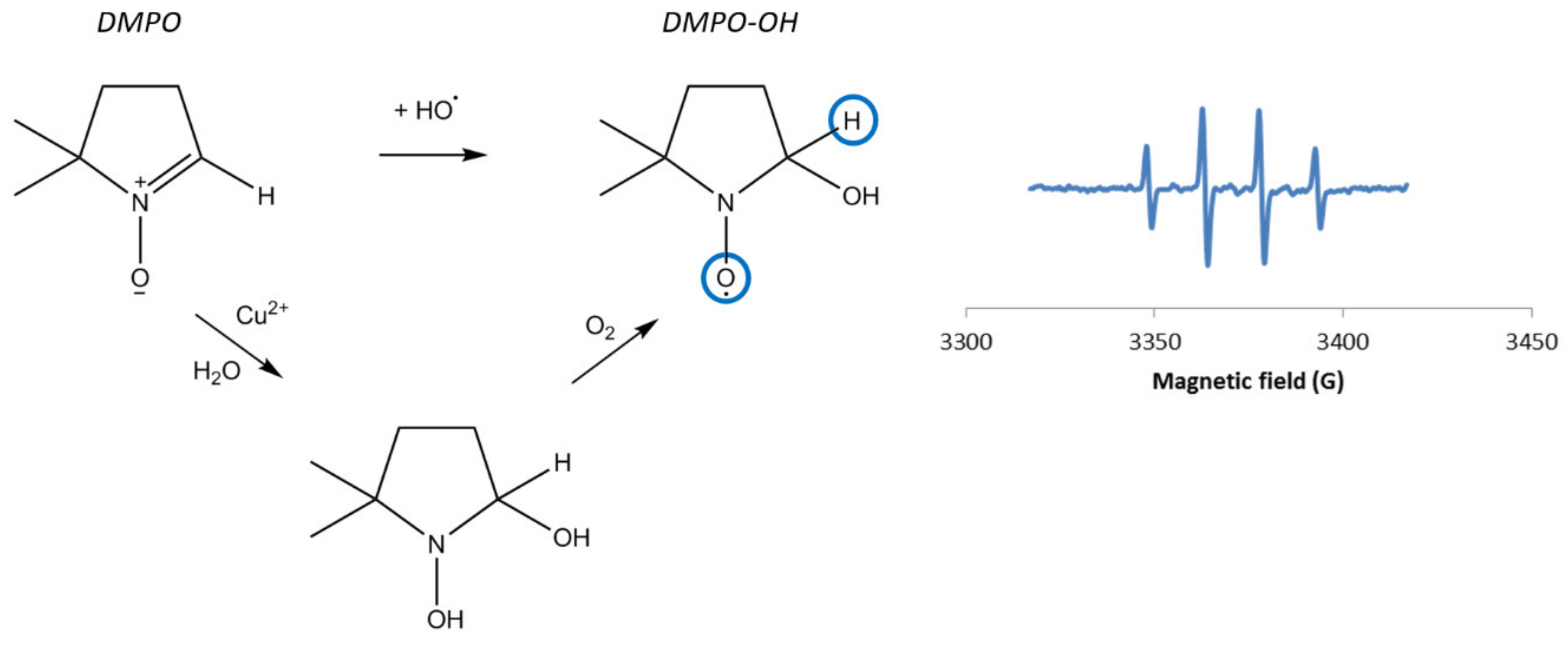 Applied Sciences Free Full Text Hydroxyl Radical Generation By The | My ... Applied Sciences Free Full Text Hydroxyl Radical Generation By The | My ...