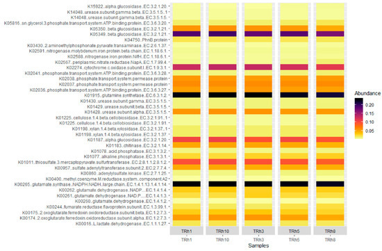 Can We Use Functional Annotation of Prokaryotic Taxa (FAPROTAX) to Assign the Ecological ...