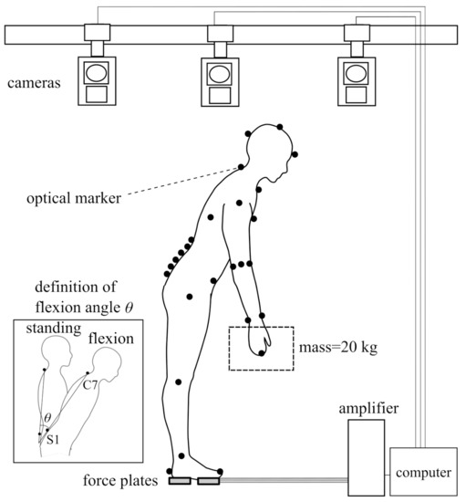 Validation of Lumbar Compressive Force Simulation in Forward Flexion ...