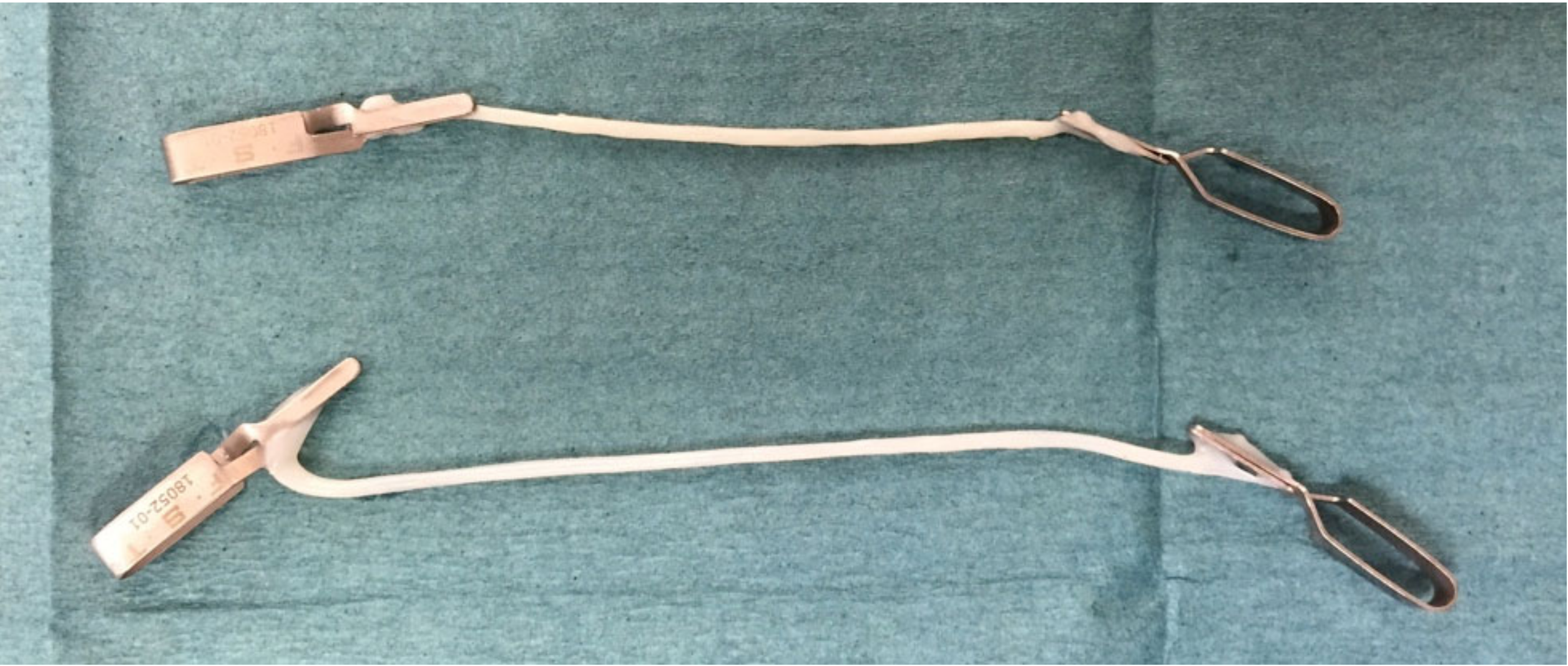 Spider Silk-Augmented Scaffolds and Adipose-Derived Stromal Cells ...