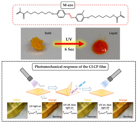 Bio-Inspired Soft Robotics: Tunable Photo-Actuation Behavior of Azo ...