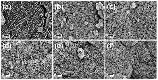Fast and Low-Cost Synthesis of MoS2 Nanostructures on Paper Substrates ...