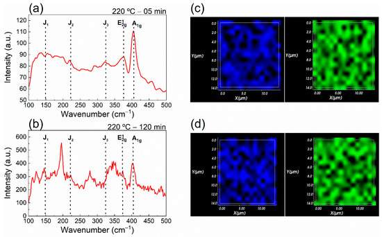 Fast and Low-Cost Synthesis of MoS2 Nanostructures on Paper Substrates ...
