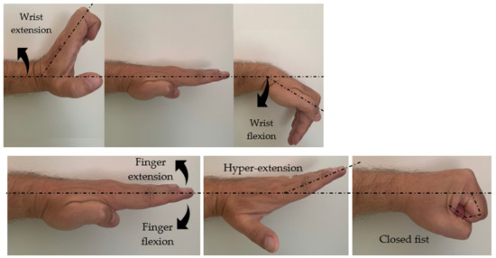 Mechanical Design of a Bioinspired Compliant Robotic Wrist ...