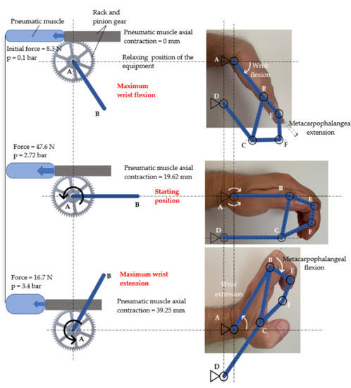 Mechanical Design of a Bioinspired Compliant Robotic Wrist ...