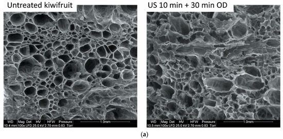 Applied Sciences | Free Full-Text | Current Applications of Ultrasound in Fruit and Vegetables ...