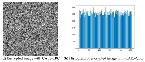 Chaos-Based Synchronized Dynamic Keys and Their Application to Image ...
