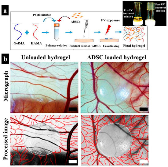 Bioengineered Skin Substitutes: Advances and Future Trends