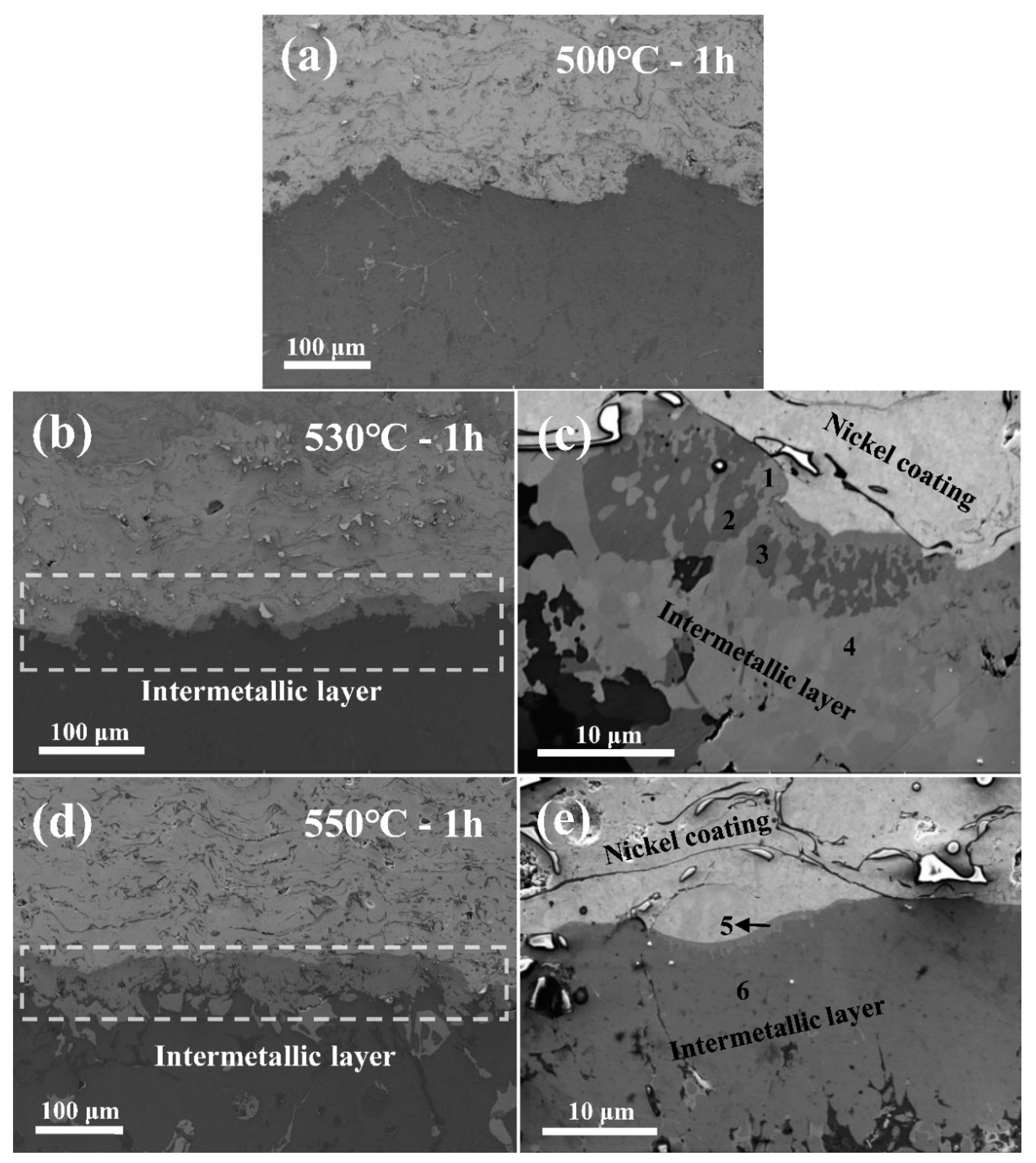 Combined Effects of Optimized Heat Treatment and Nickel Coating for the ...