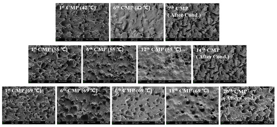 Analysis of Correlation between Pad Temperature and Asperity Angle in ...