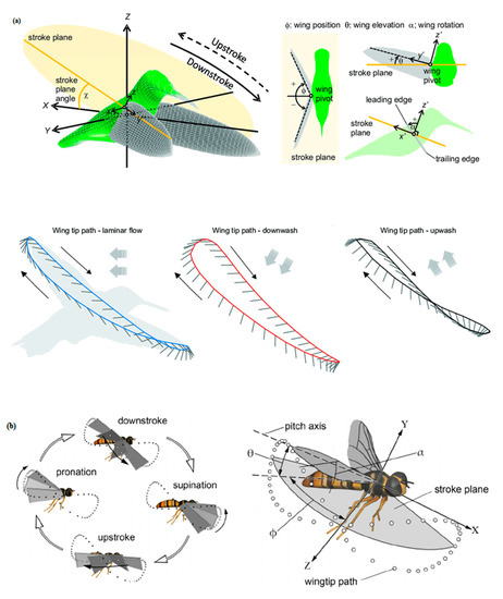Review on System Identification and Mathematical Modeling of Flapping ...