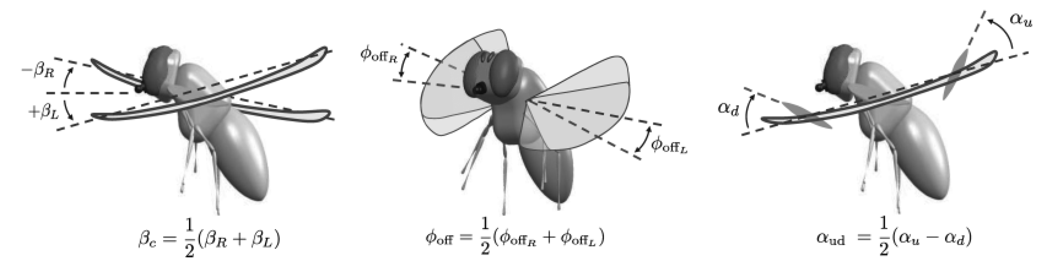 Review on System Identification and Mathematical Modeling of Flapping ...