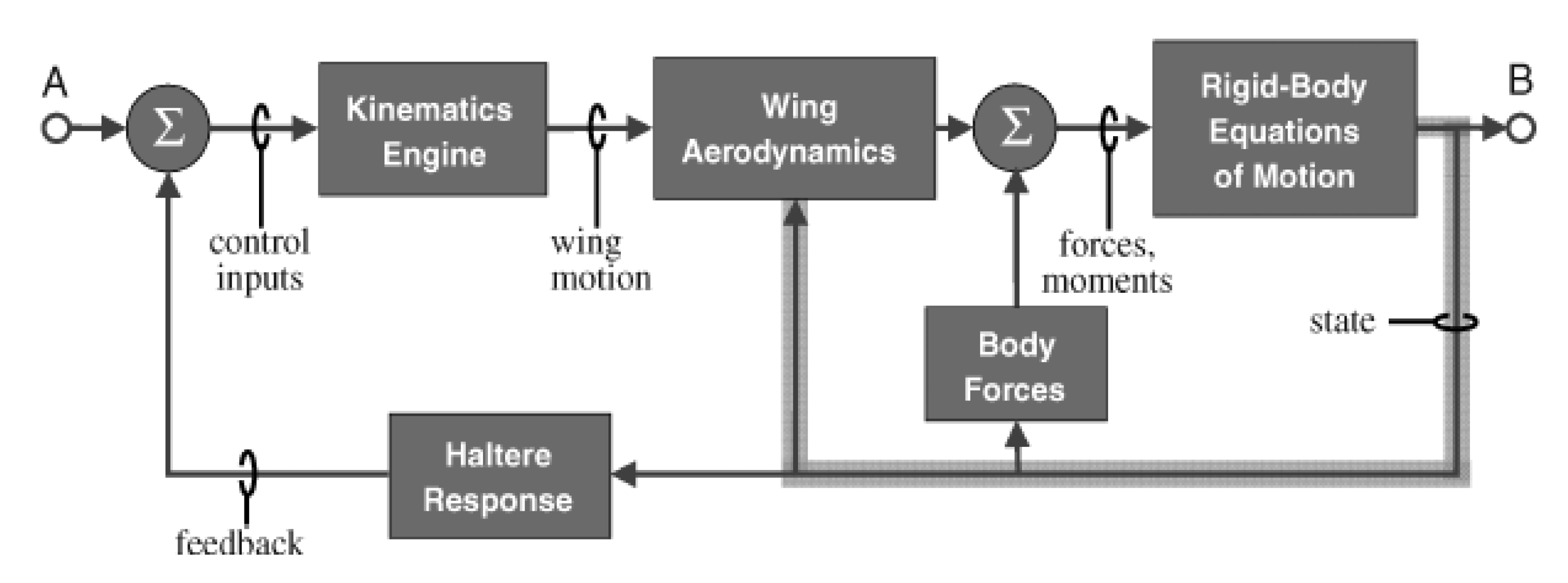 Review on System Identification and Mathematical Modeling of Flapping ...
