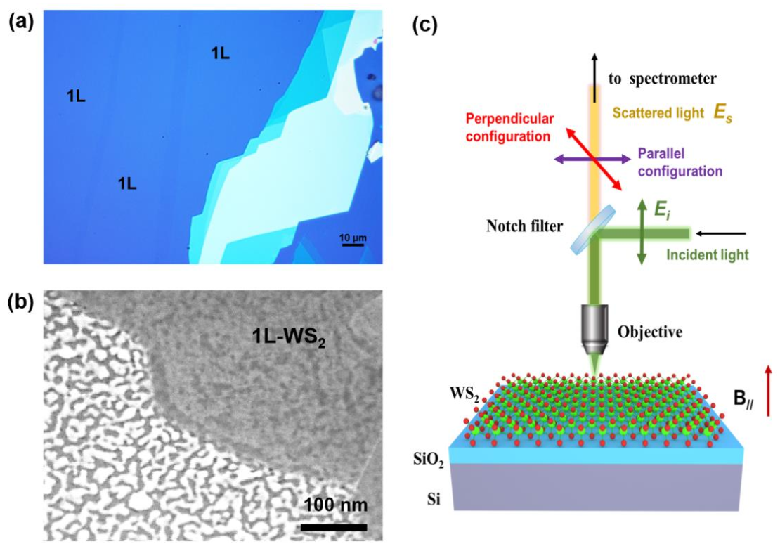 Plasmonic Effect on the Magneto-Optical Property of Monolayer WS2 ...