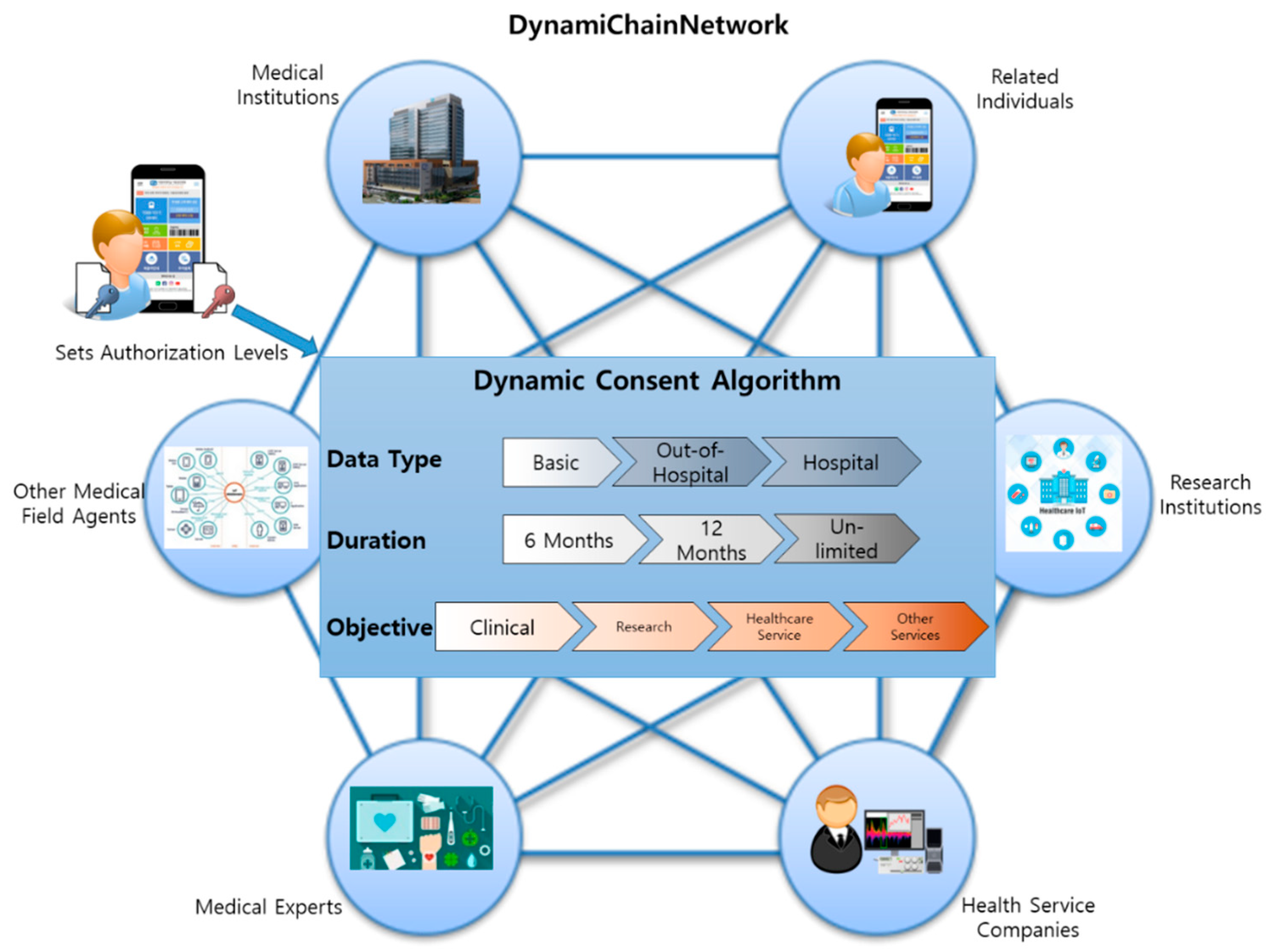 DynamiChain: Development of Medical Blockchain Ecosystem Based on ...