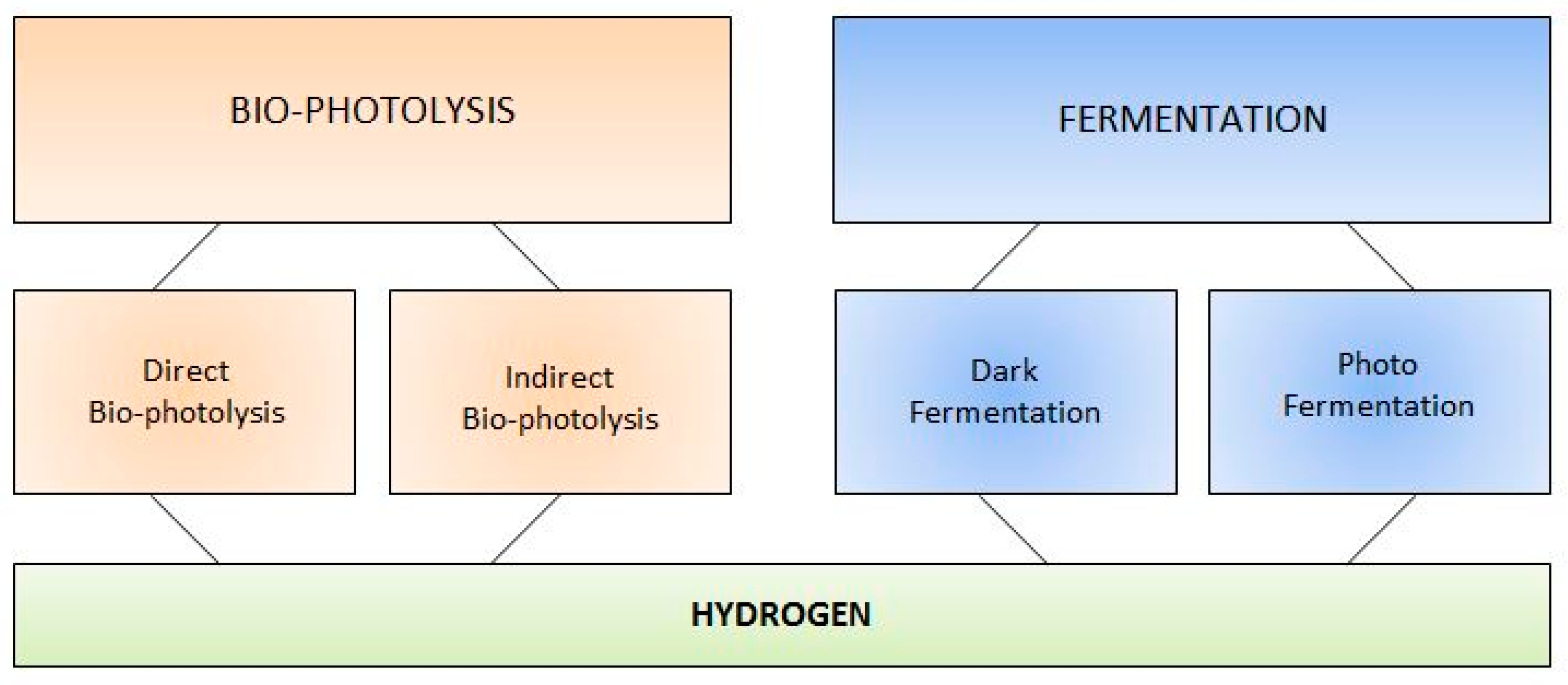 Biohydrogen from Microalgae: Production and Applications