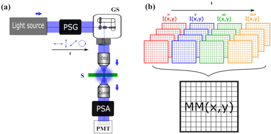 Review on Complete Mueller Matrix Optical Scanning Microscopy Imaging