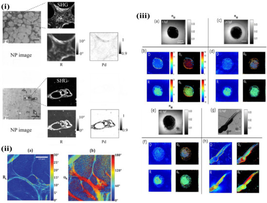 Review on Complete Mueller Matrix Optical Scanning Microscopy Imaging