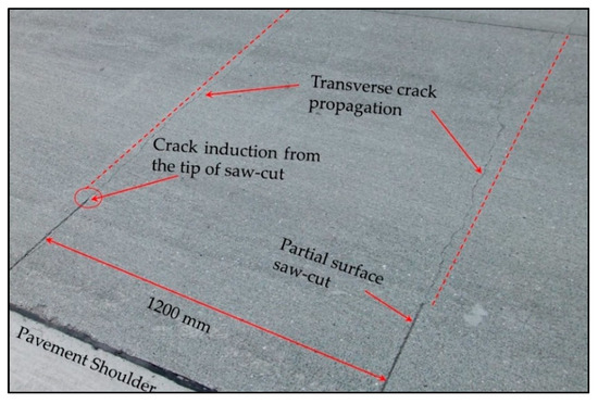 Evaluating the Early-Age Crack Induction in Advanced Reinforced ...