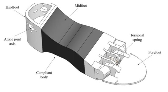 A Bioinspired Humanoid Foot Mechanism