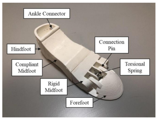 A Bioinspired Humanoid Foot Mechanism