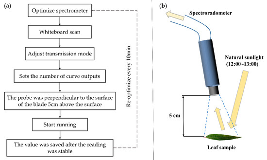 The Changes of Leaf Reflectance Spectrum and Leaf Functional Traits of ...