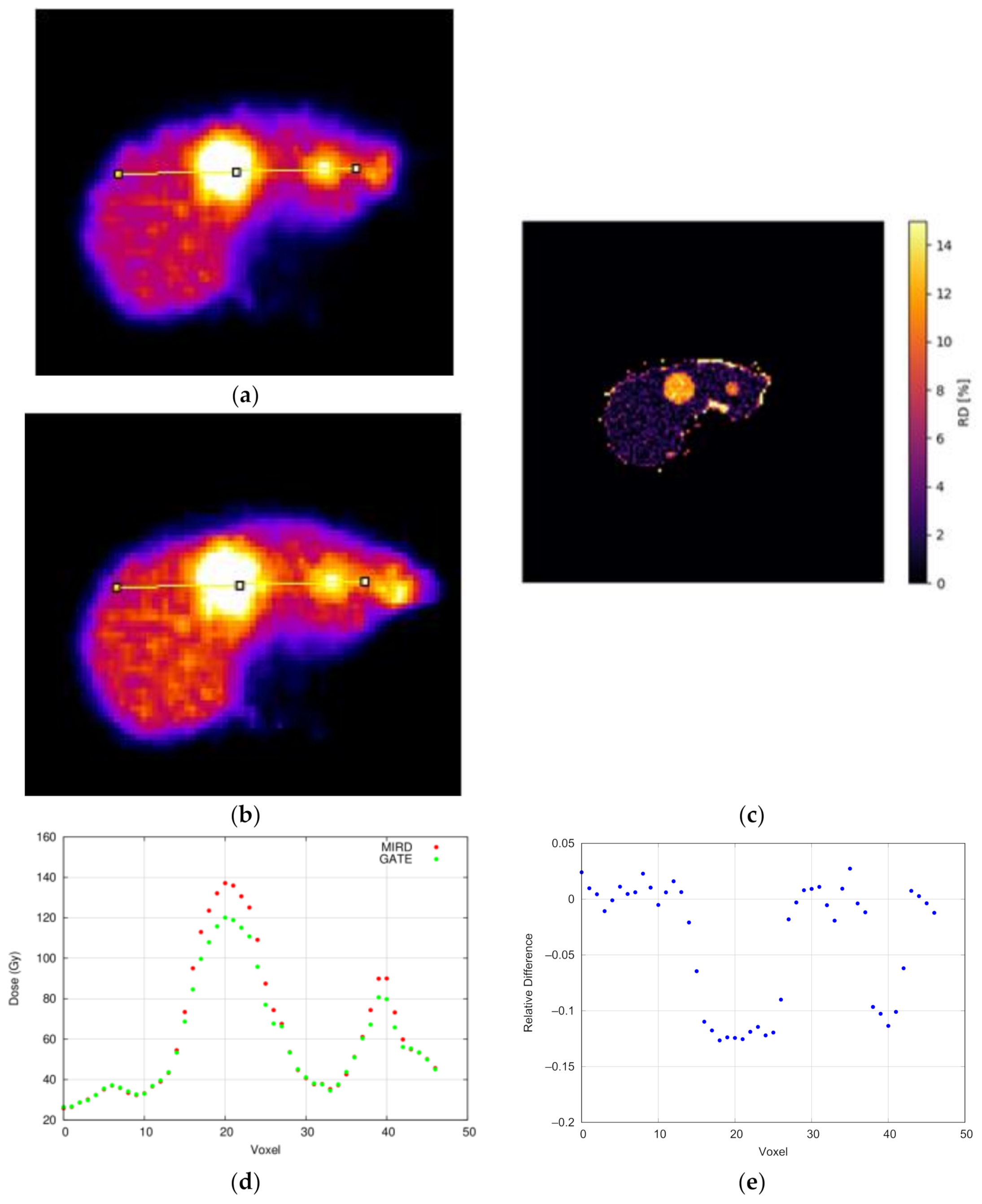 In Silico Validation of MCID Platform for Monte Carlo-Based Voxel ...