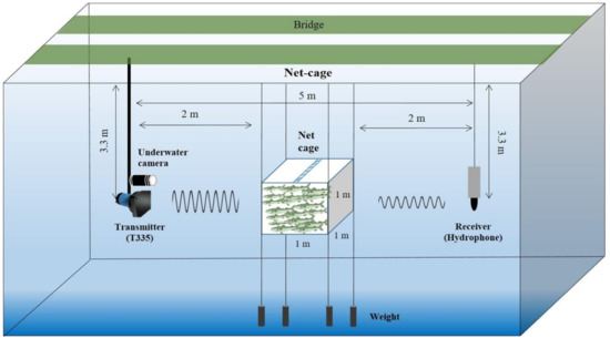 In Situ Measurement of Sound Attenuation by Fish Schools (Japanese ...
