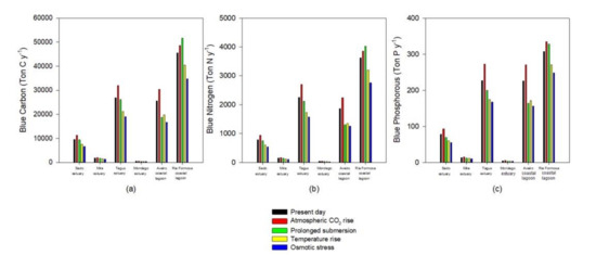 Climate Change Impacts on Salt Marsh Blue Carbon, Nitrogen and ...